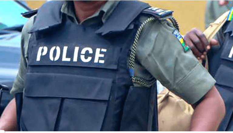 Police arrest six armed robbery, cultism suspects in Enugu, recover ...